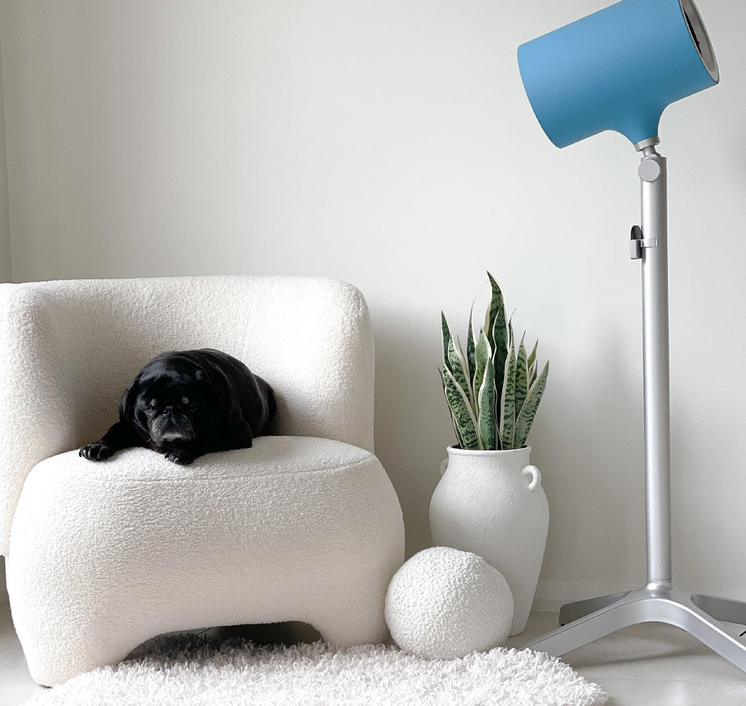 About – Omega Altise